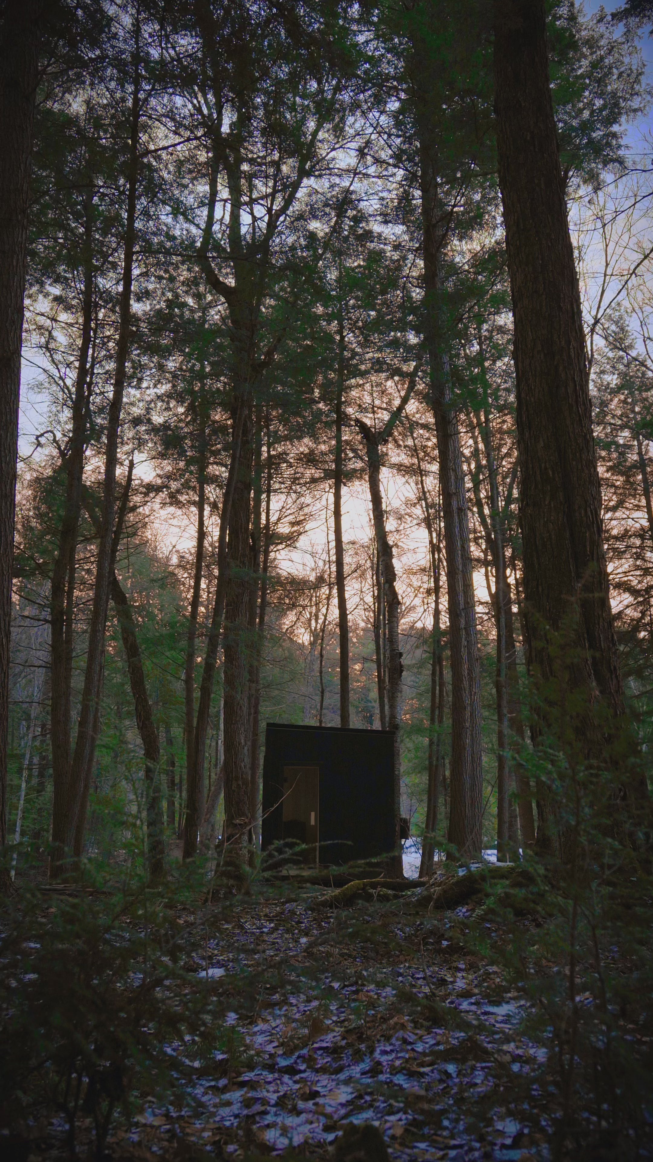 The Sip Sauna – Sip Saunas